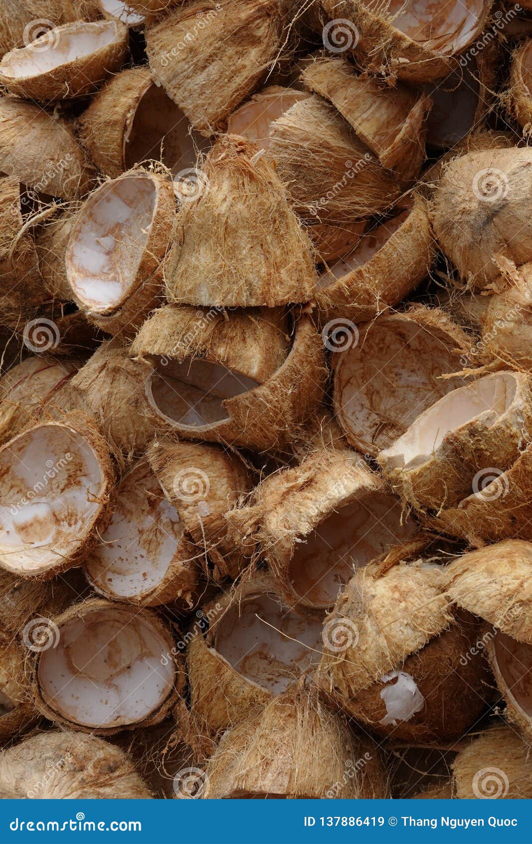 Coconut shell background stock image. Image of asia - 137886419