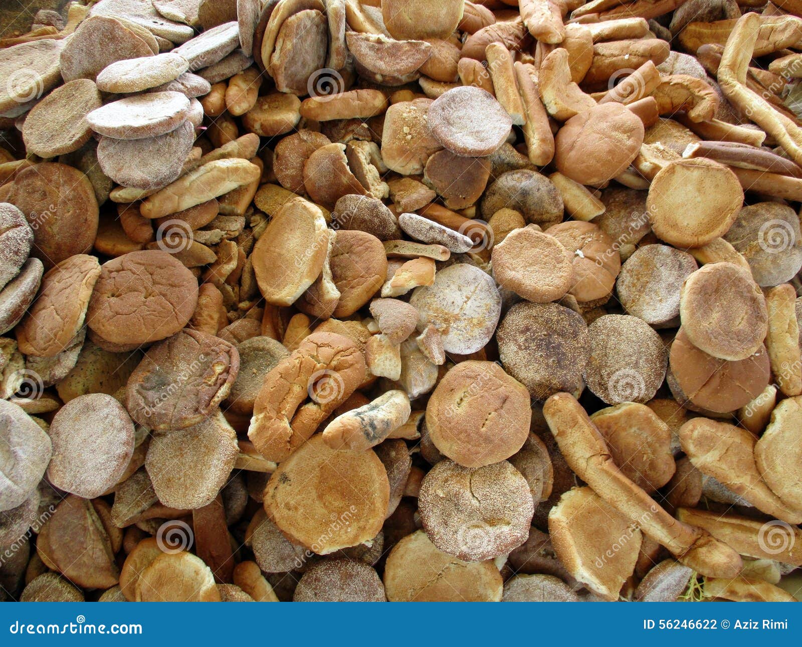 Wasted dry bread stock photo. Image of poverty, bread - 56246622