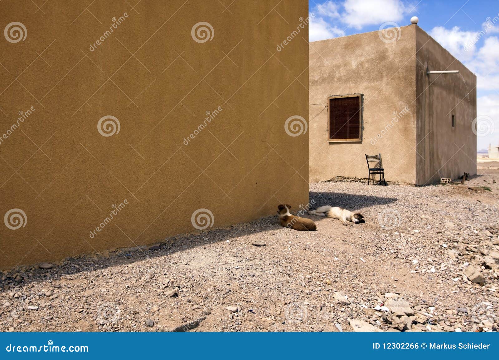 Wasteland stock photo. Image of facade, heat, extreme - 12302266