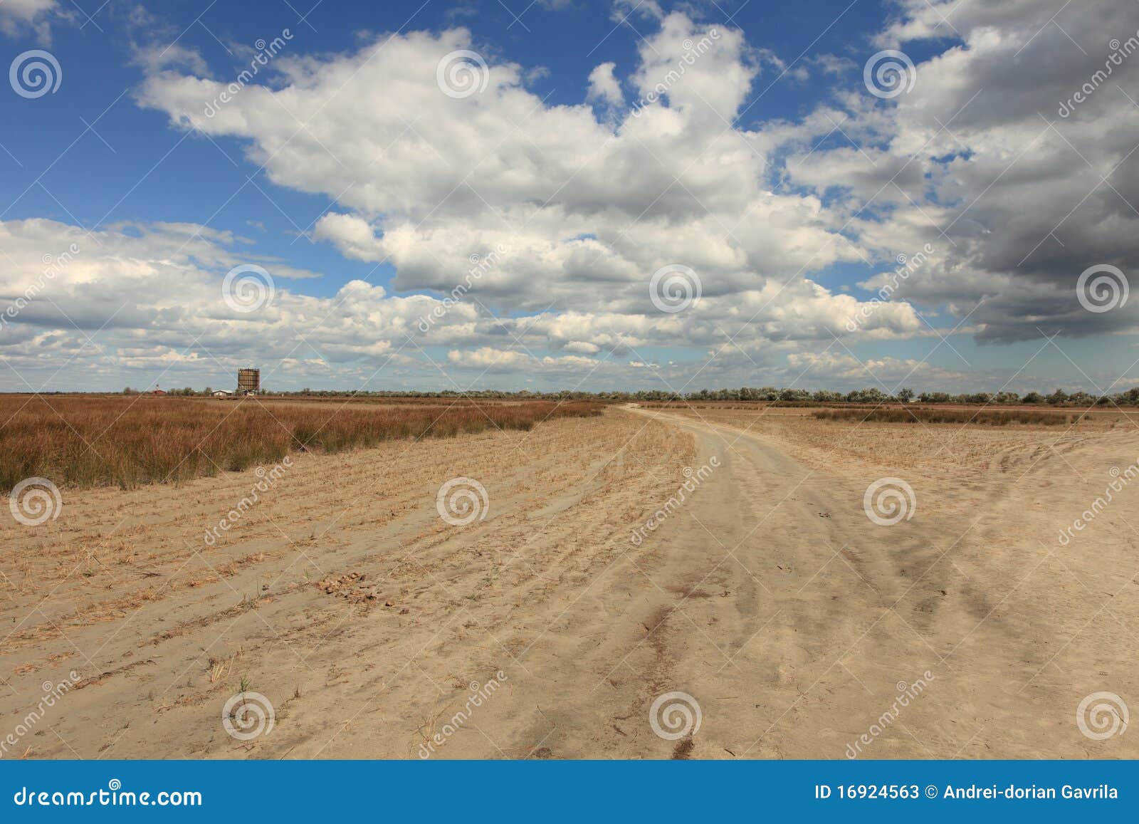 Wasteland stock image. Image of beach, nature, gheorghe - 16924563