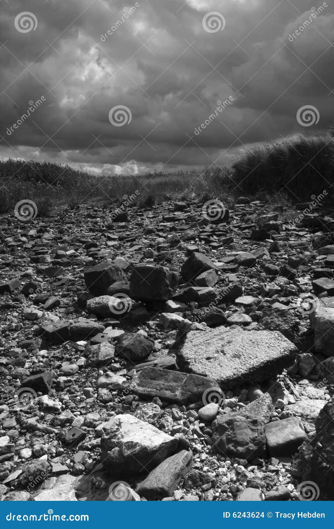 Wasteland Stock Photos - Download 13,369 Royalty Free Photos