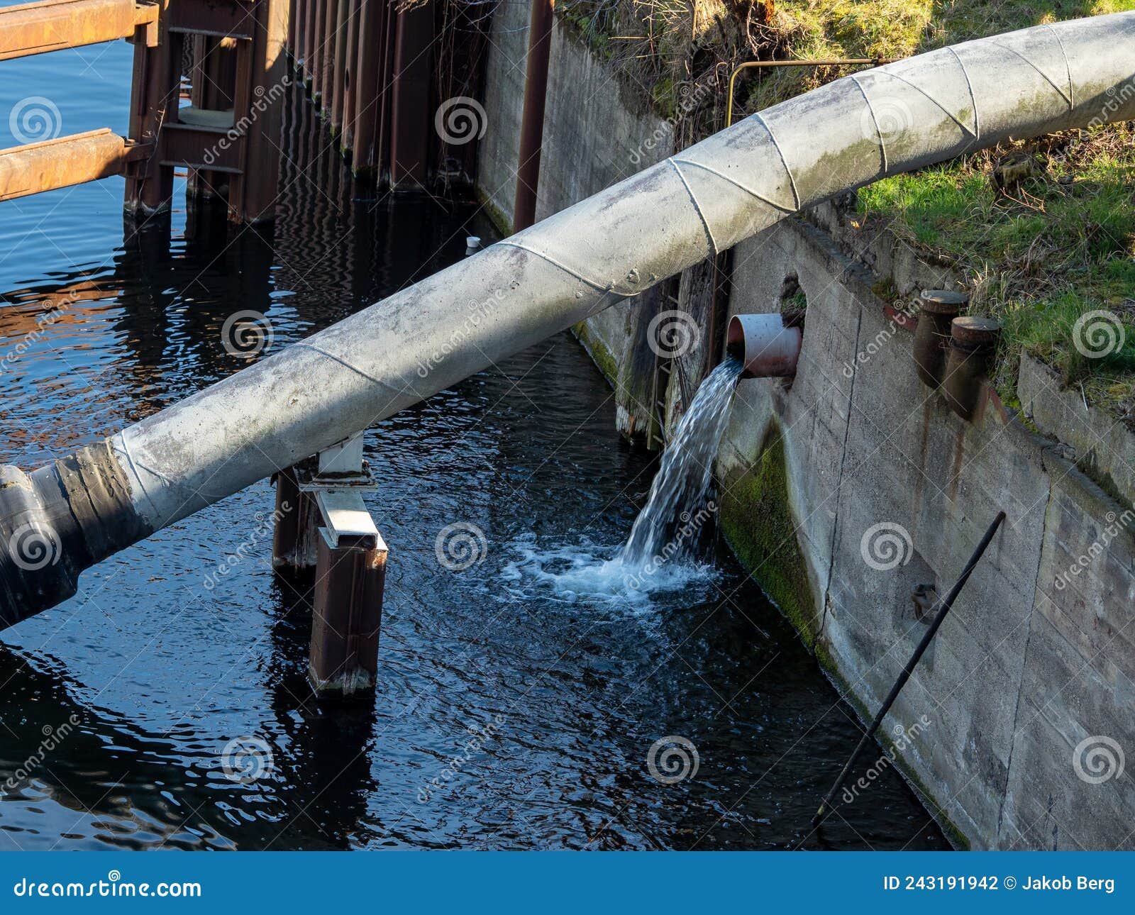 Wastewater Flows from a Pipe into a Canal. Stock Photo - Image of ...