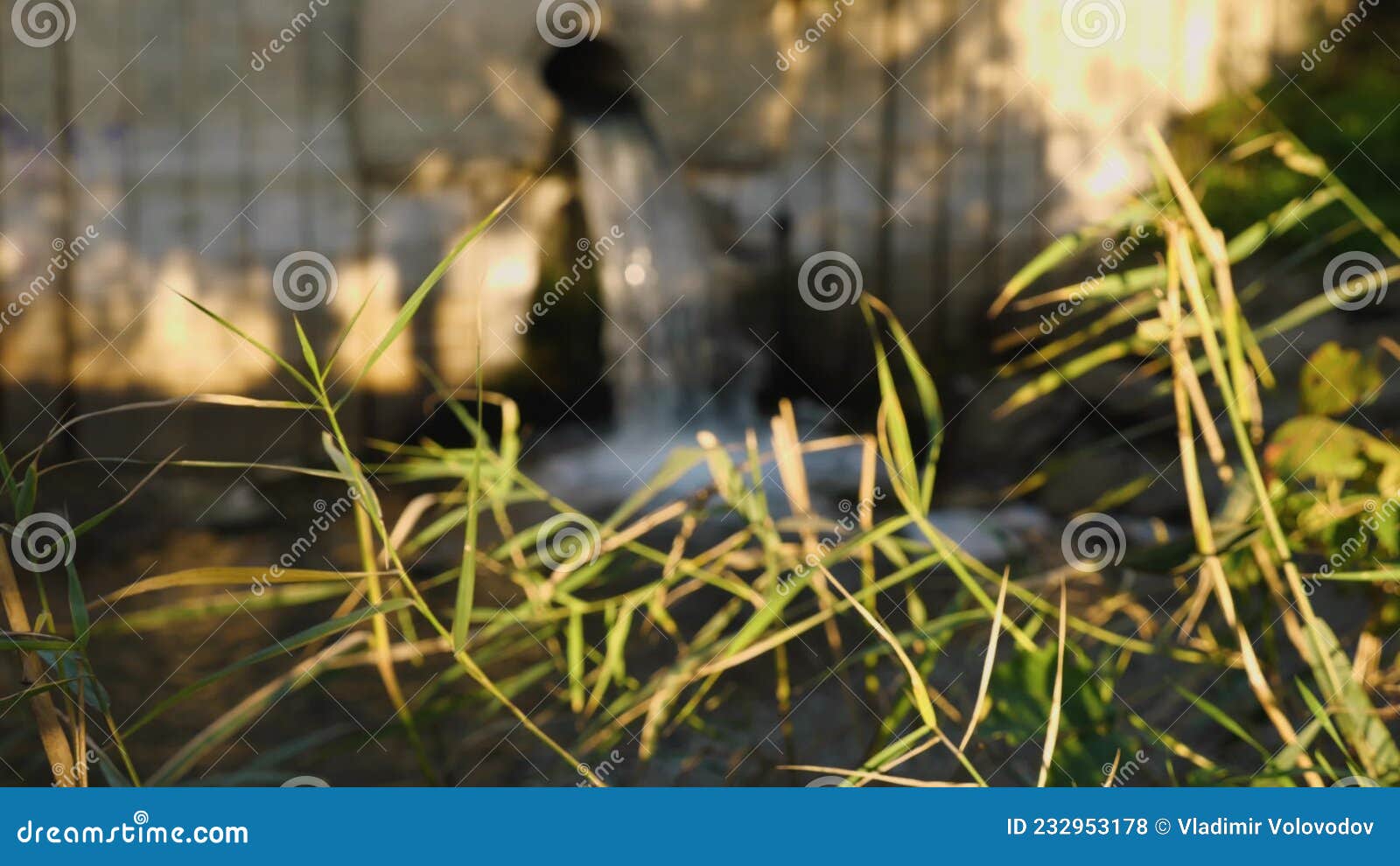 Wastewater from a Sewage Pipe Flows into the River Against a Backdrop ...