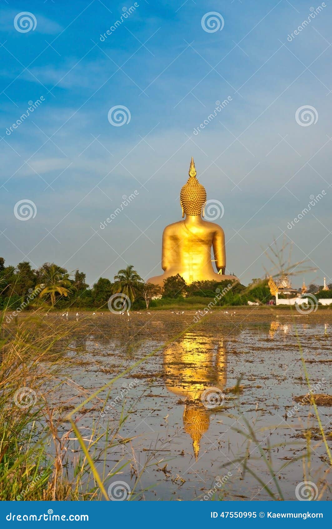 Wat Muang Ang Thong Thailand Temple Stock Image - Image of believe ...