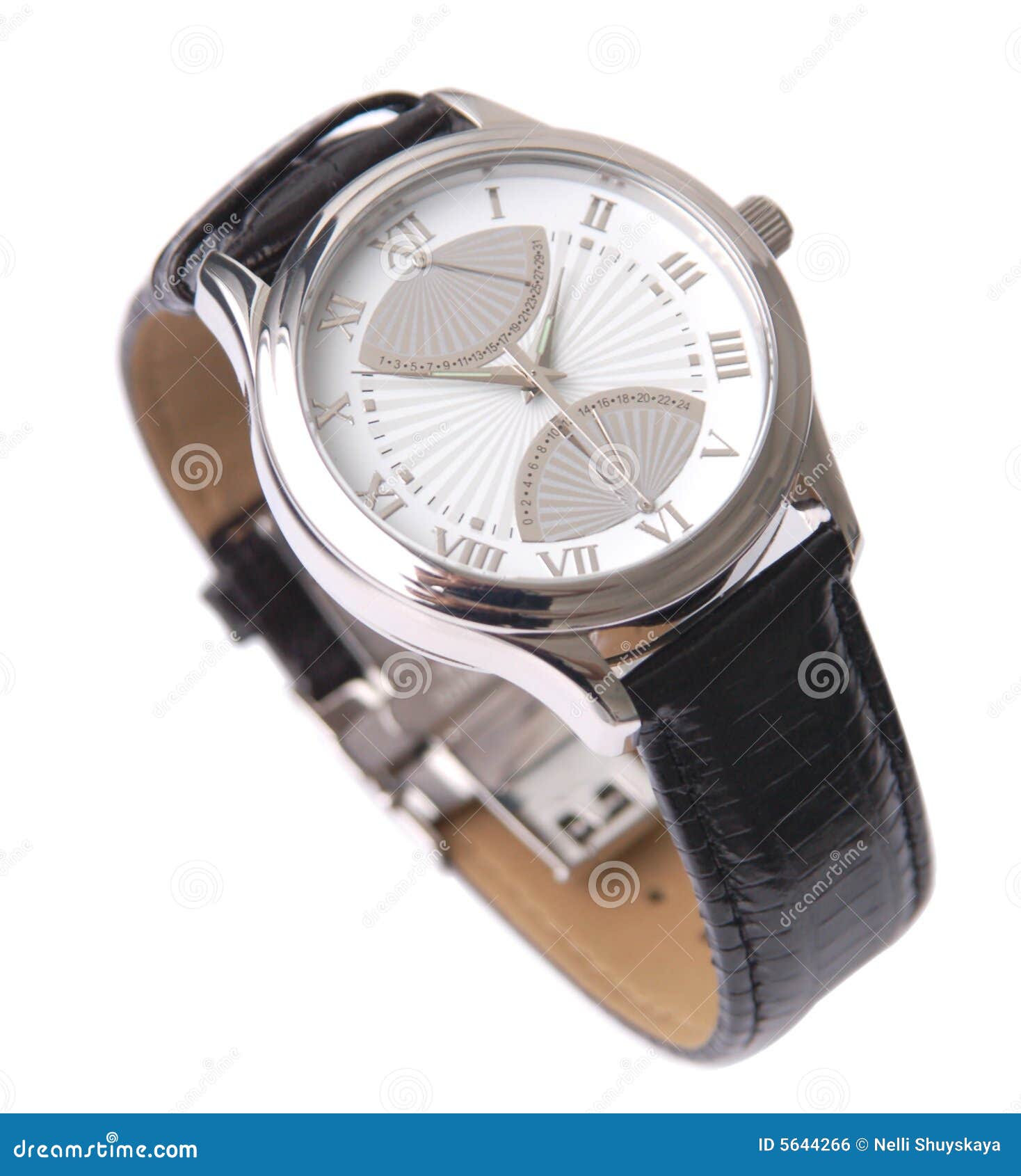 8,554 Beautiful Wristwatch Stock Photos - Free & Royalty-Free Stock ...