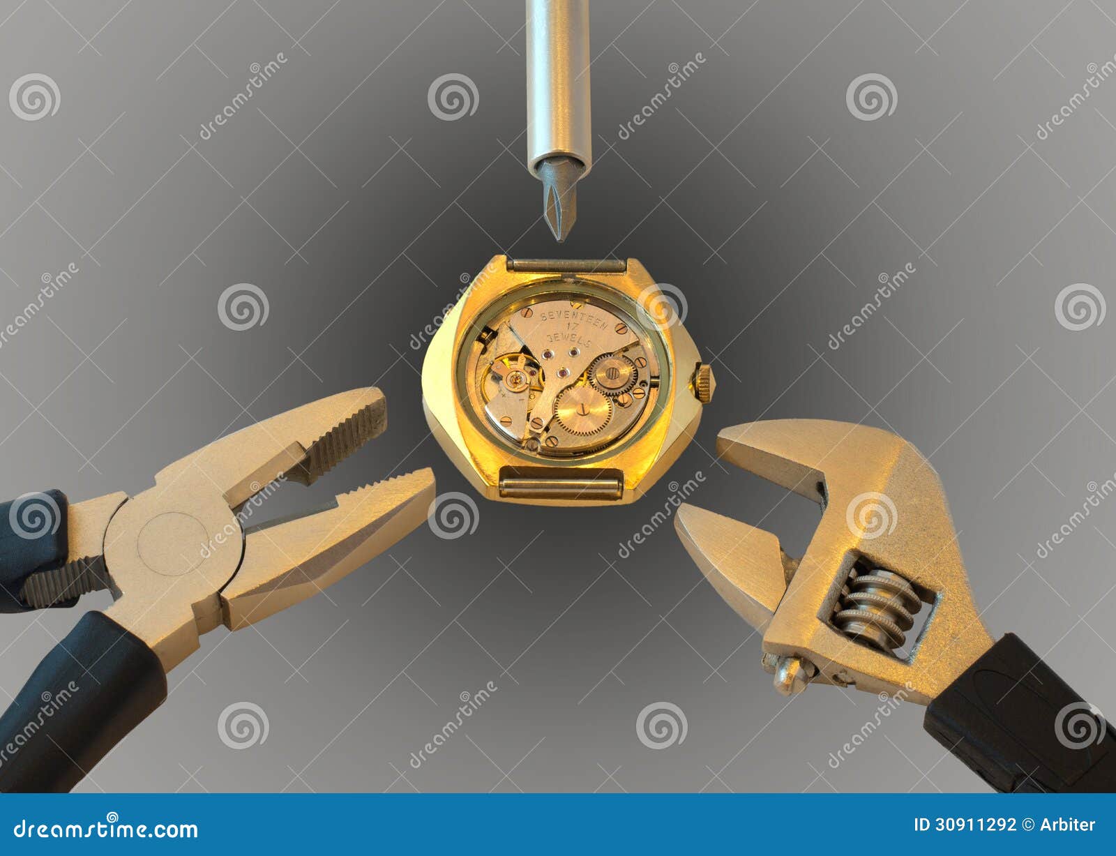 Disassembled Watch Stock Illustrations – 46 Disassembled Watch Stock ...