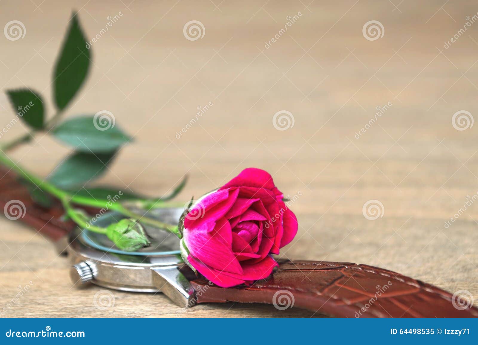 Watch and rose stock image. Image of concept, clock, father - 64498535