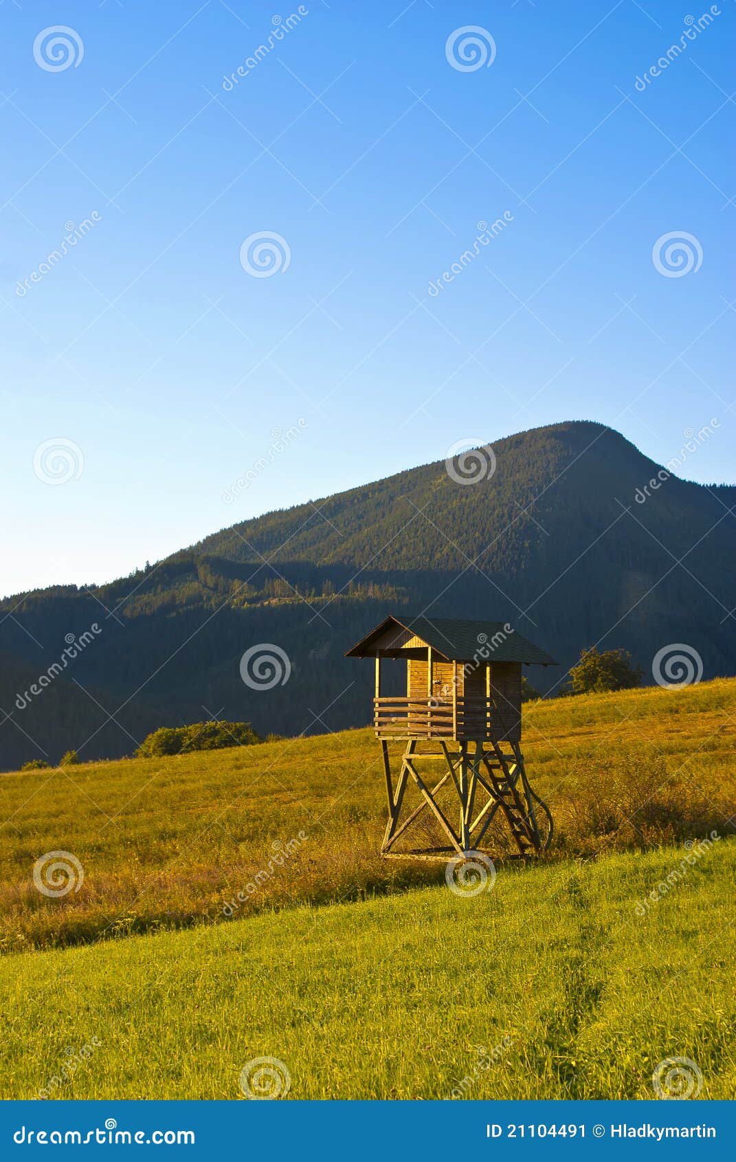 Watch tower stock image. Image of green, brown, bush - 21104491