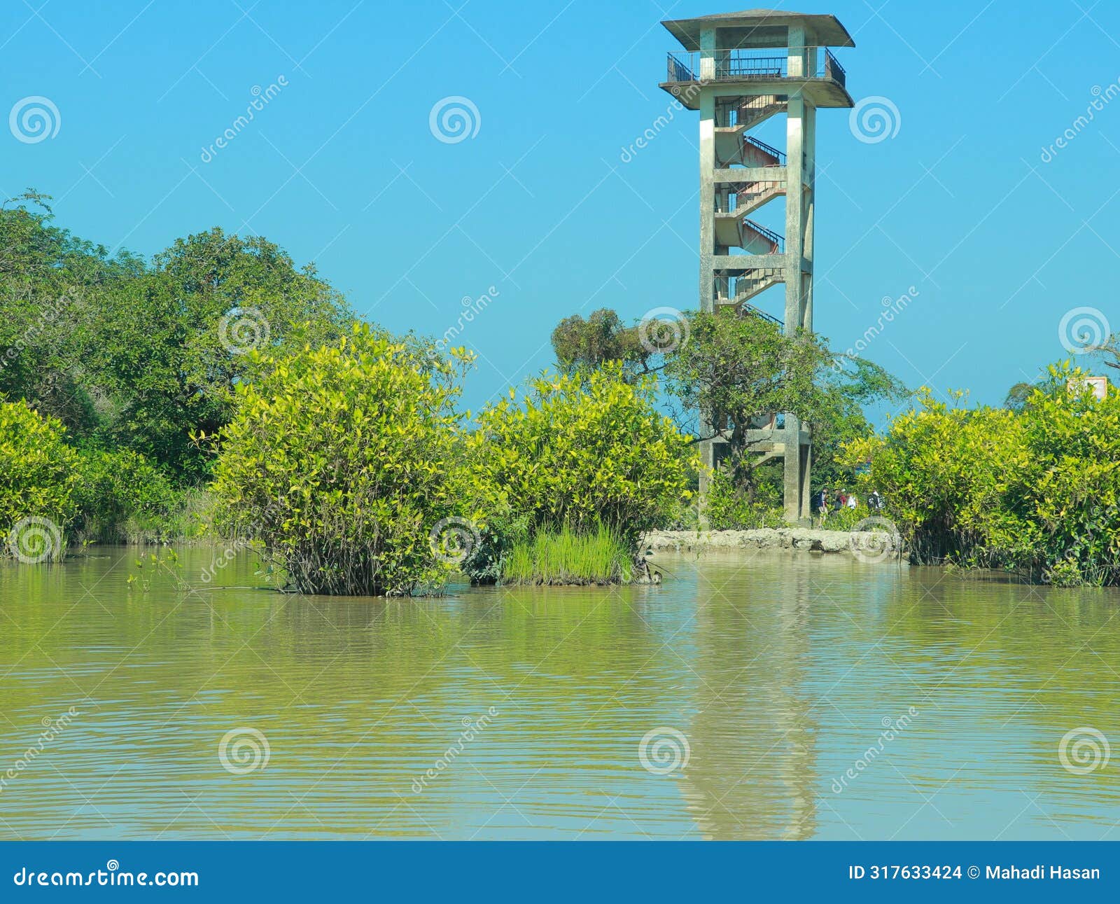 Watchtower Inside the Ratargul Swamp Forest at Sylhet, Bangladesh-2023 ...