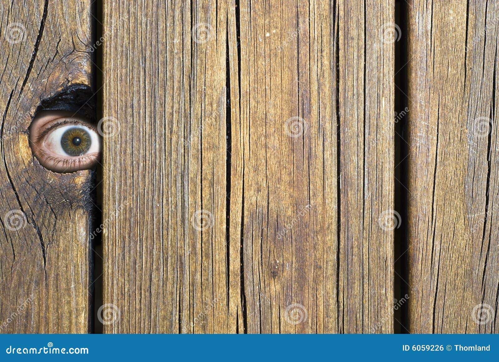 The watcher! stock photo. Image of peep, eyebrow, creepy - 6059226