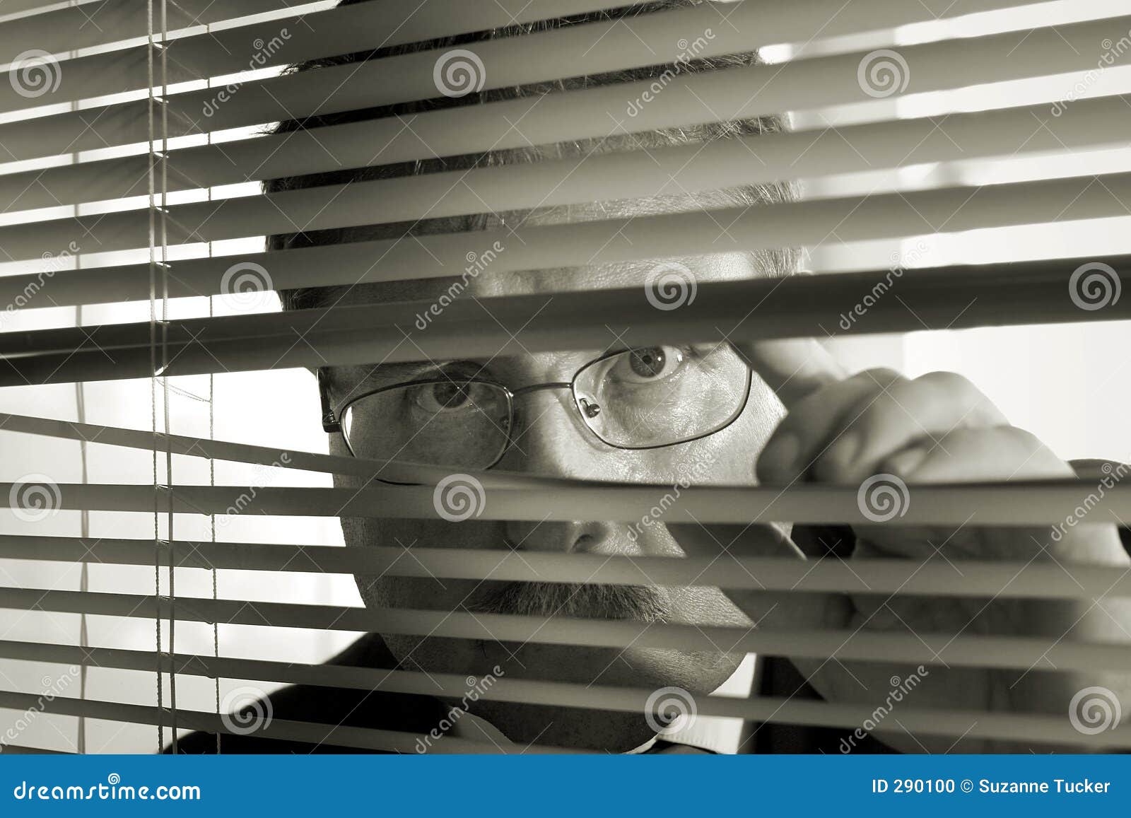 Watchful Eye stock photo. Image of eyes, look, business - 290100