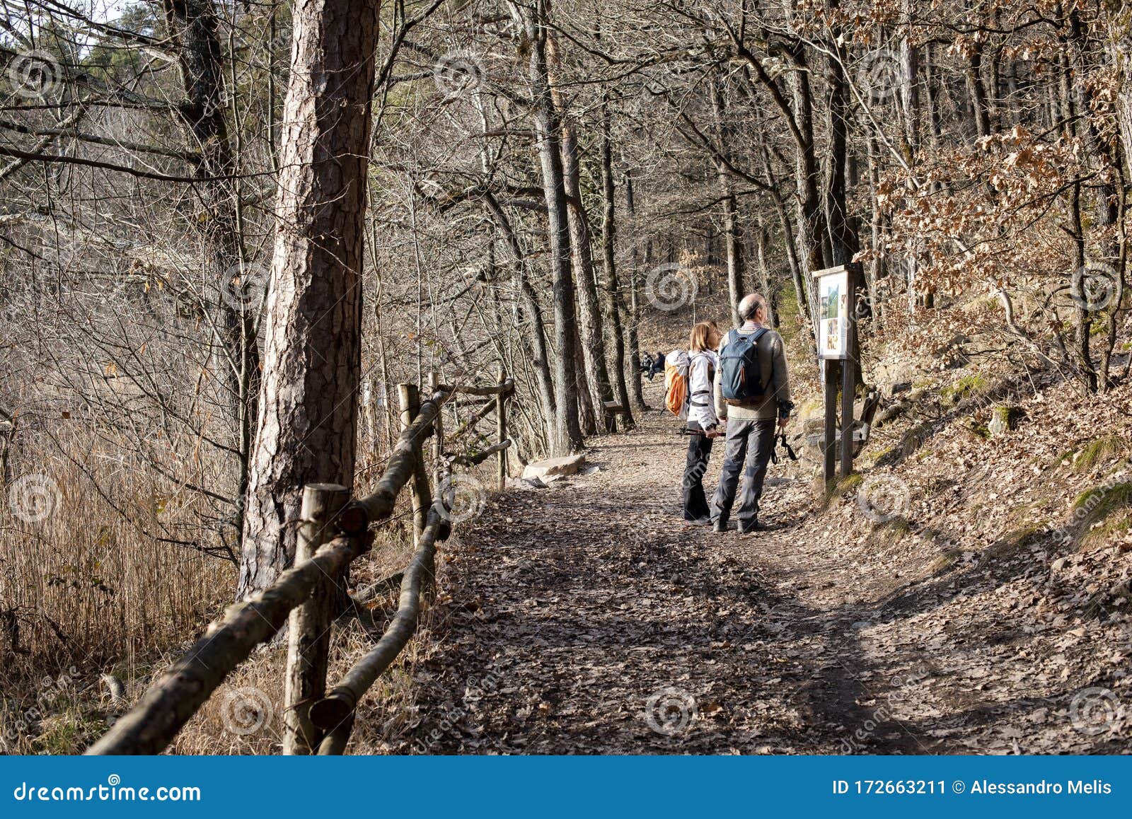 Watching a Map in the Mountain Stock Image - Image of elderly, road ...