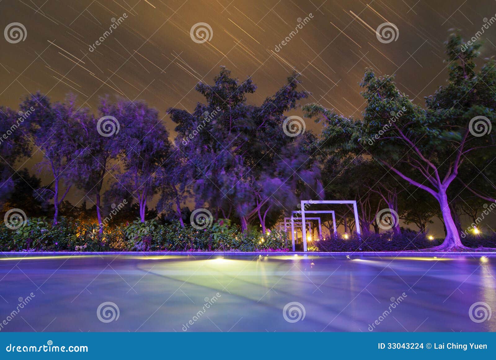 Watching the Meteor Rain stock photo. Image of background - 33043224