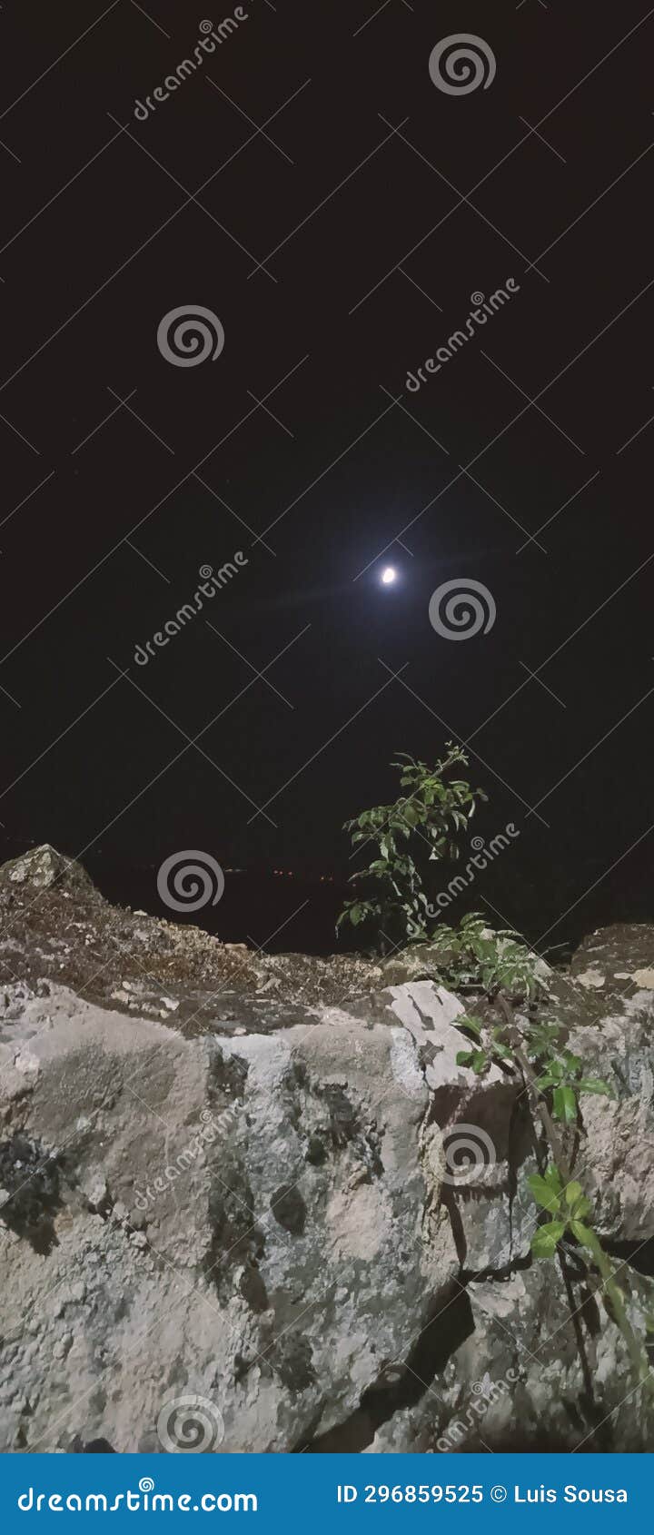 Watching the moonlight stock image. Image of watching - 296859525