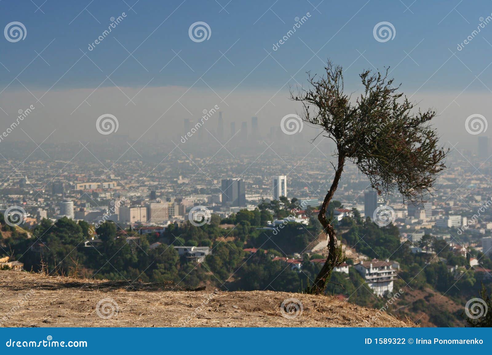 Watching over the city stock photo. Image of sunny, mulholland - 1589322