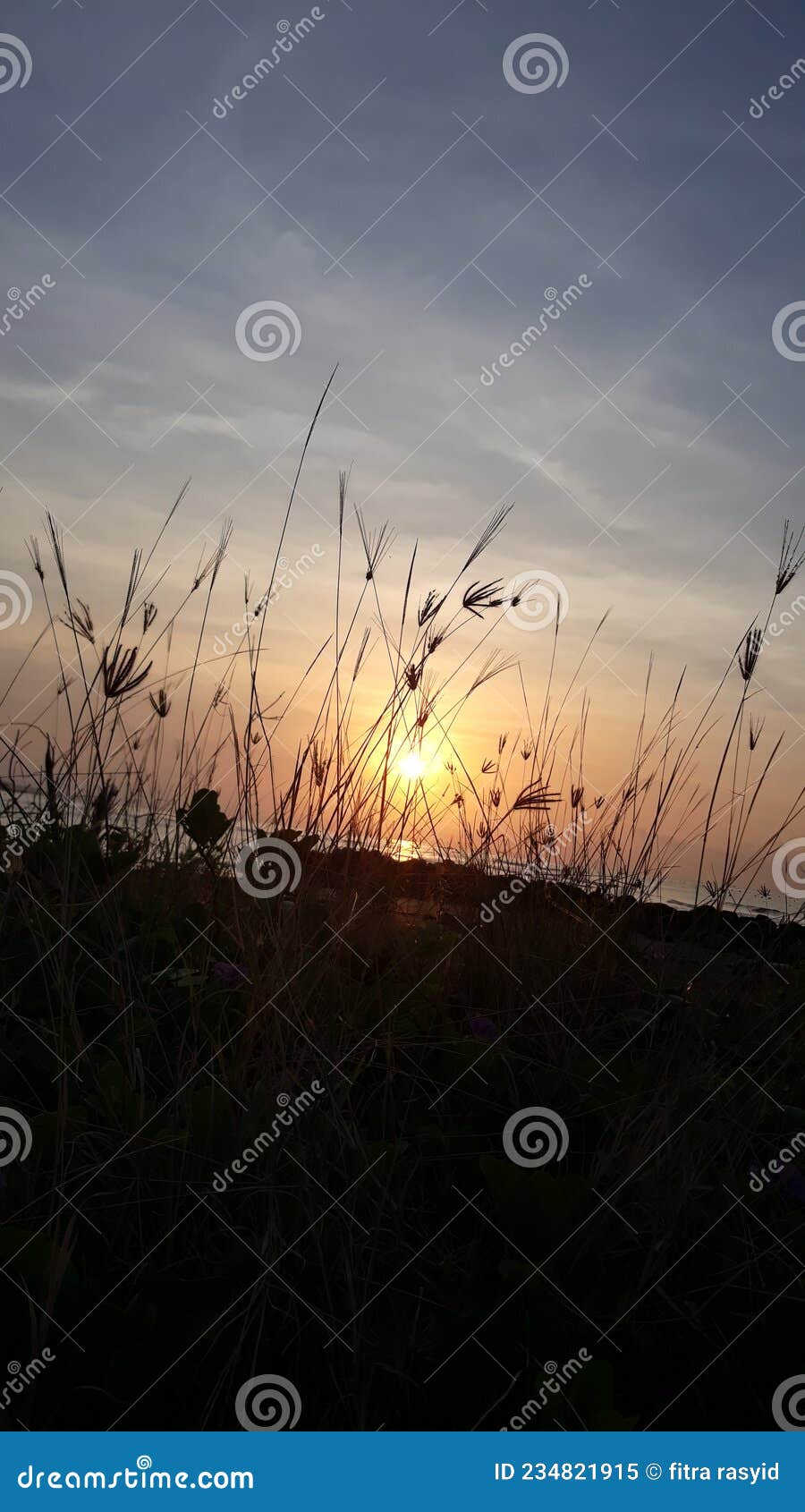 Watching the Sun Rise on the Beach Alone Stock Image - Image of sunrise ...