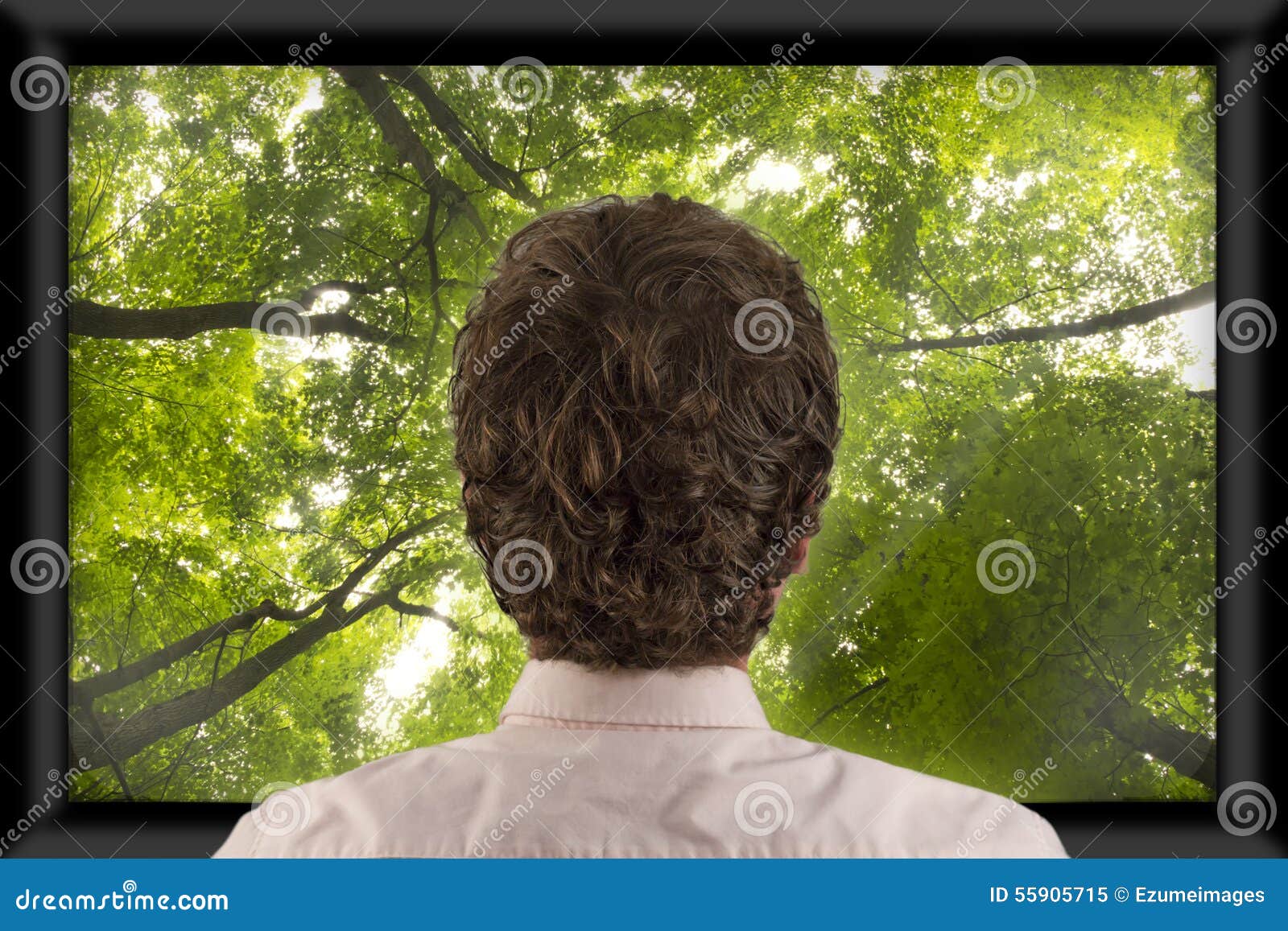 Watching Television stock image. Image of pastime, show - 55905715