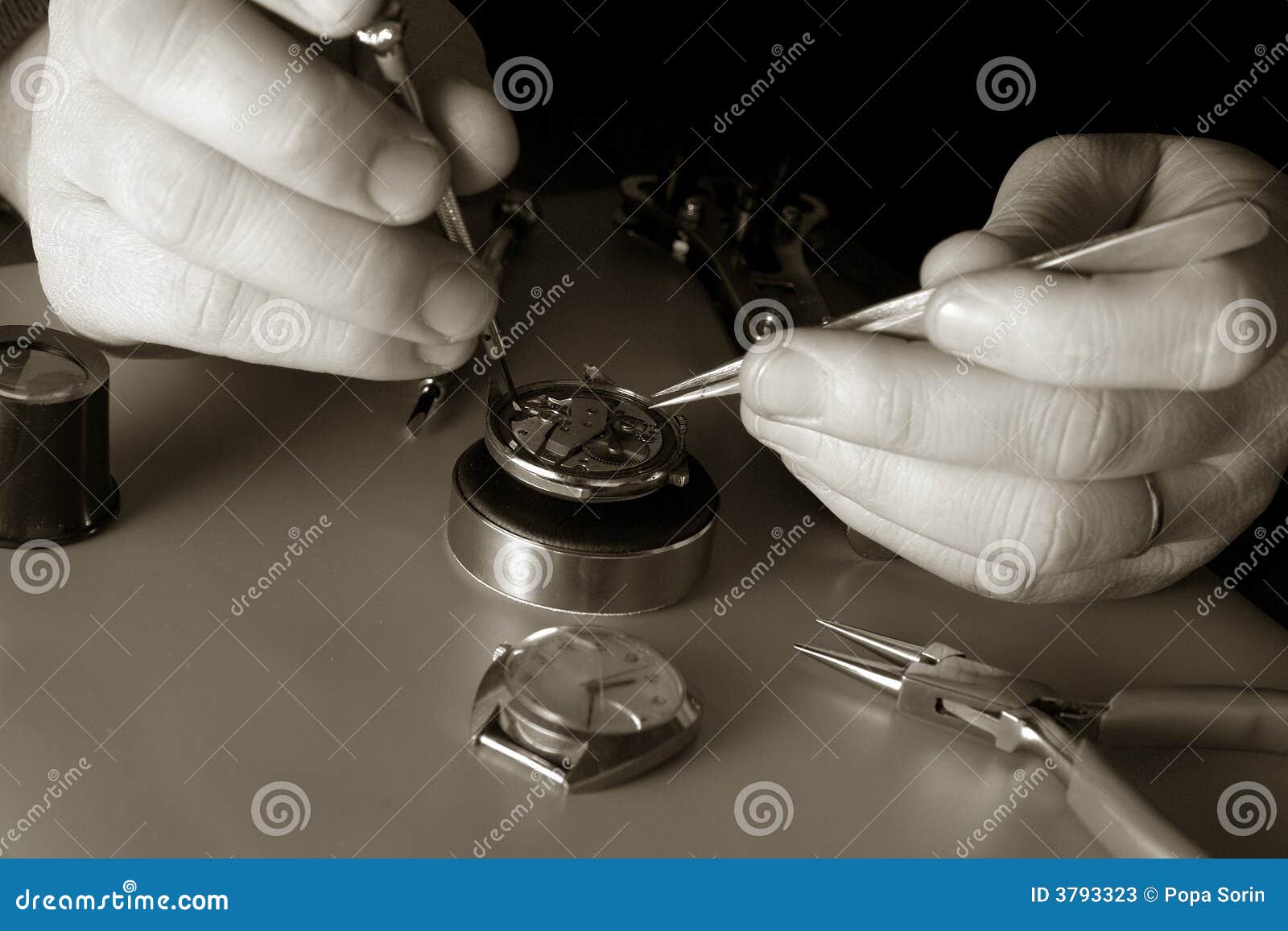 Watchmaker stock image. Image of second, screwdriver, examine - 3793323