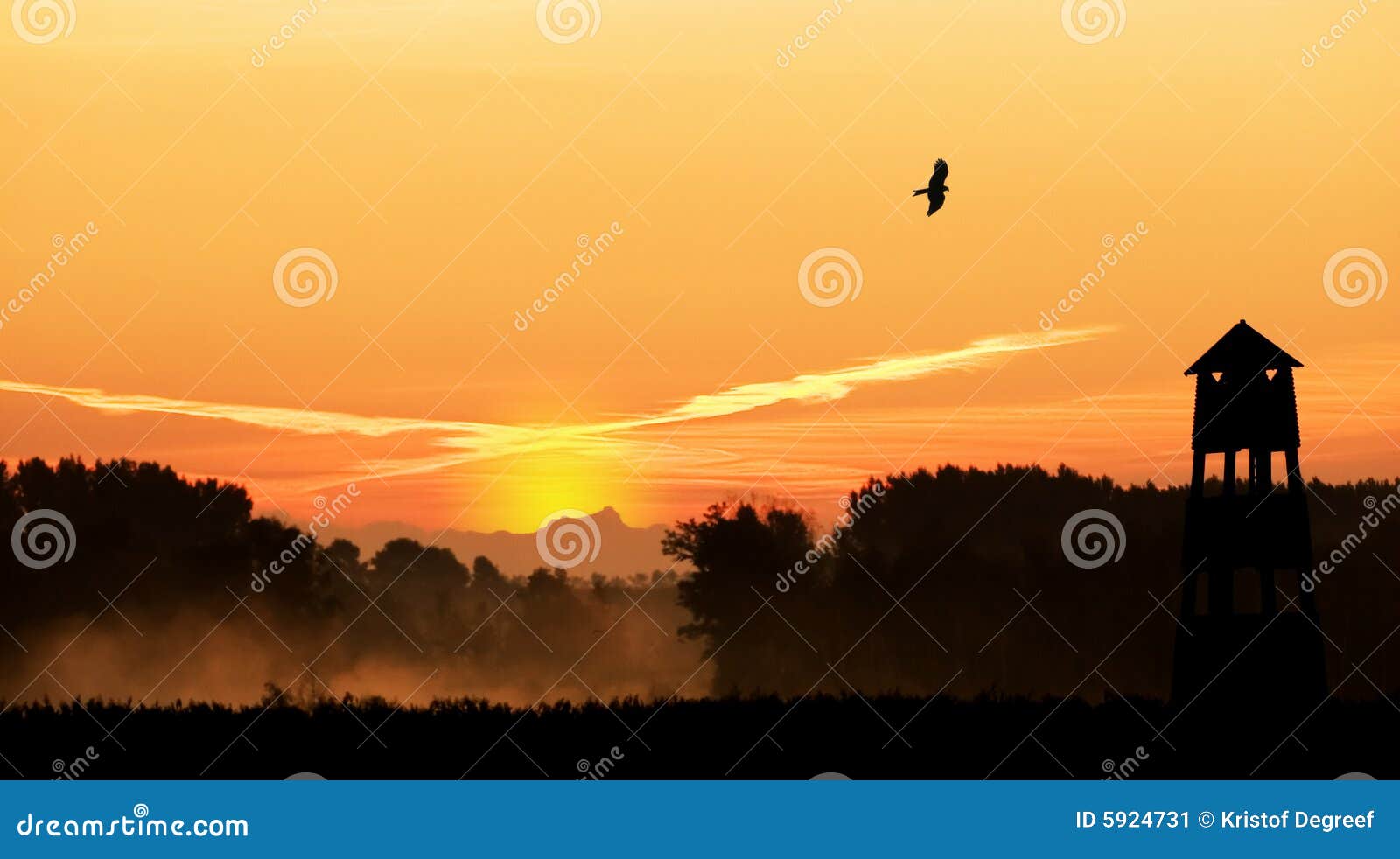 621 Bird Watchtower Stock Photos - Free & Royalty-Free Stock Photos ...