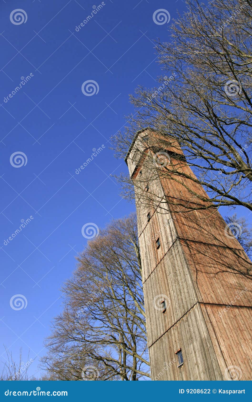 Watchtower stock photo. Image of nature, tall, wood, outdoor - 9208622