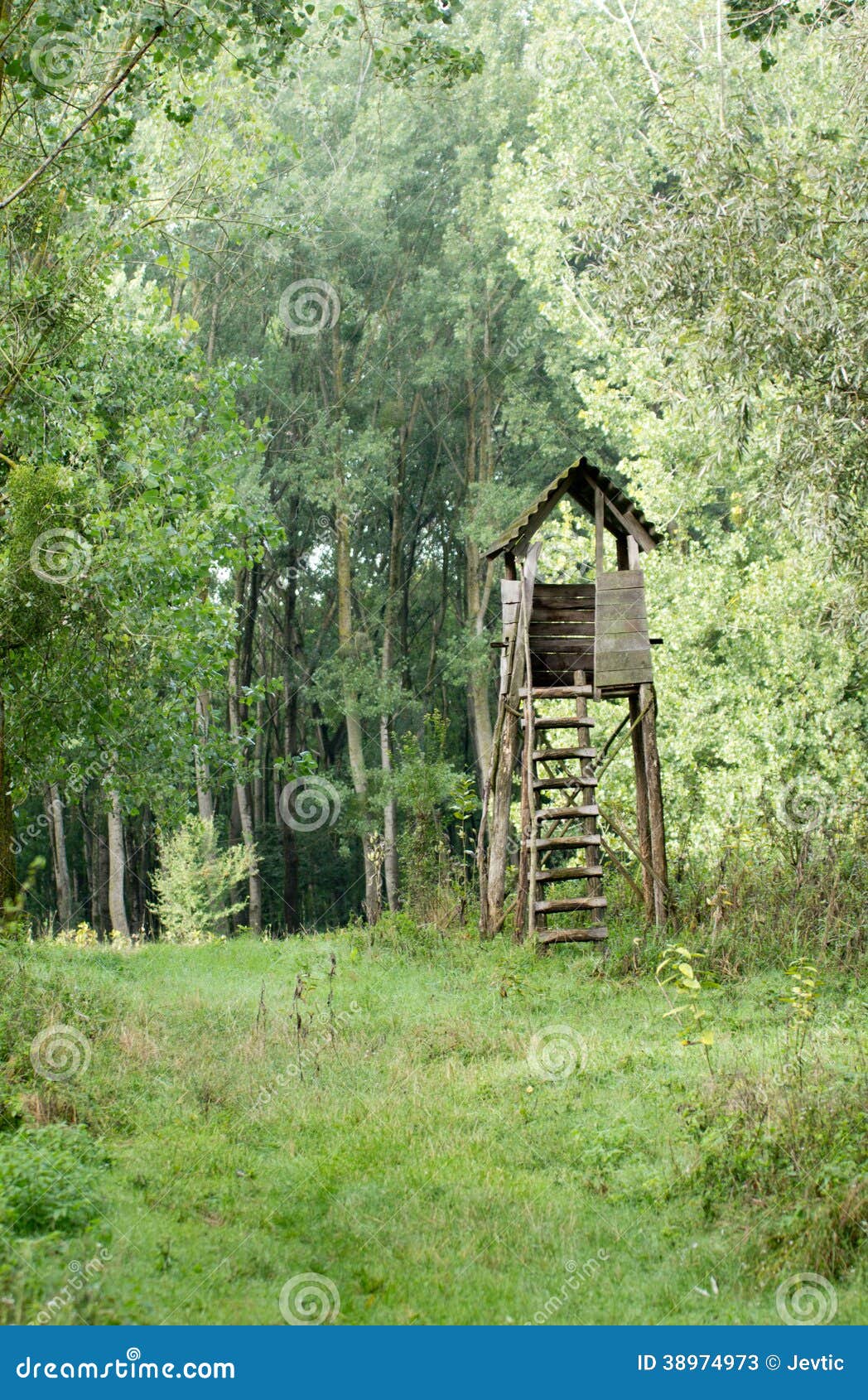 Watchtower in forest stock image. Image of brown, landscape - 38974973