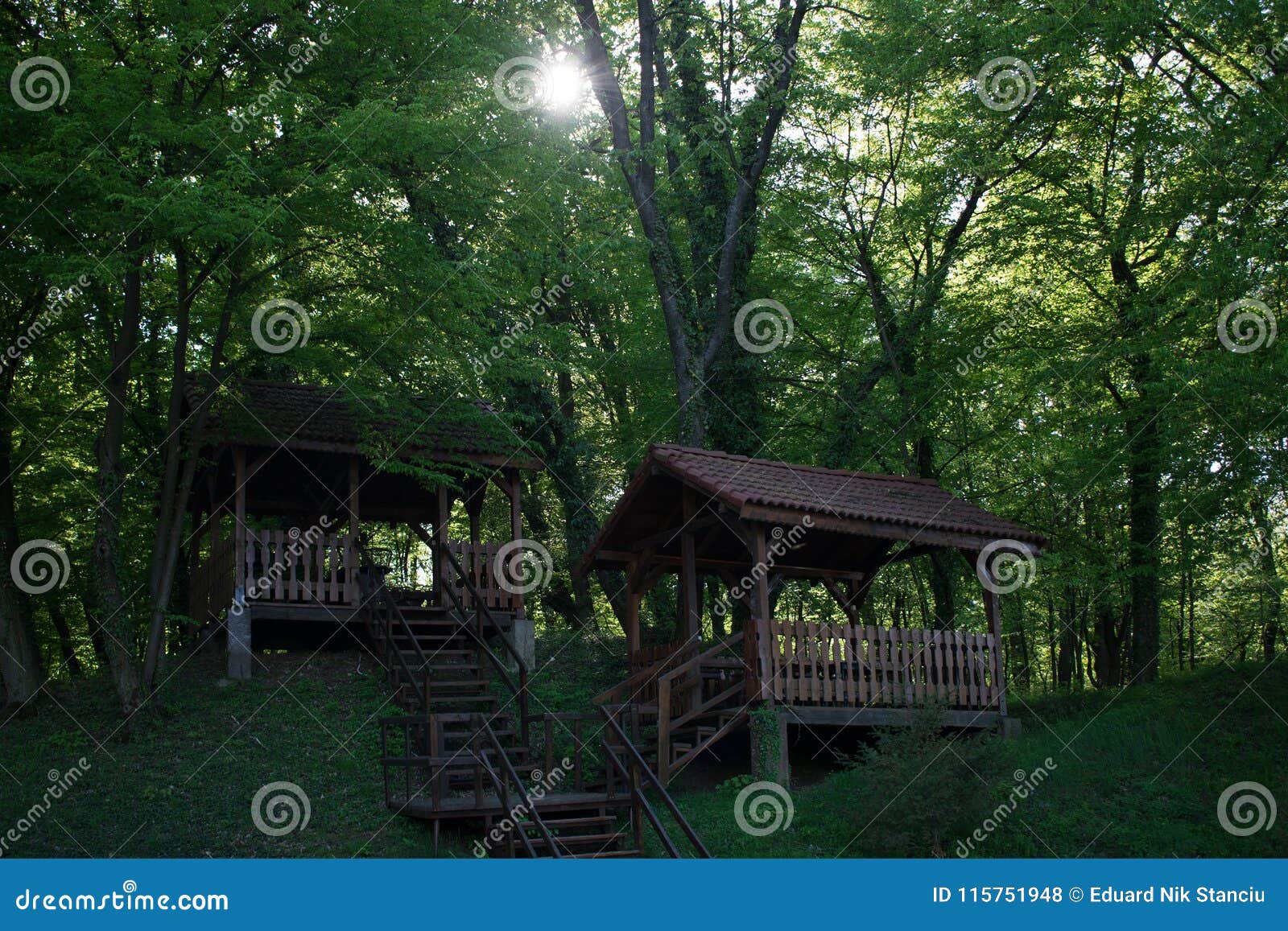 Watchtower stock photo. Image of eucalyptus, landscape - 115751948