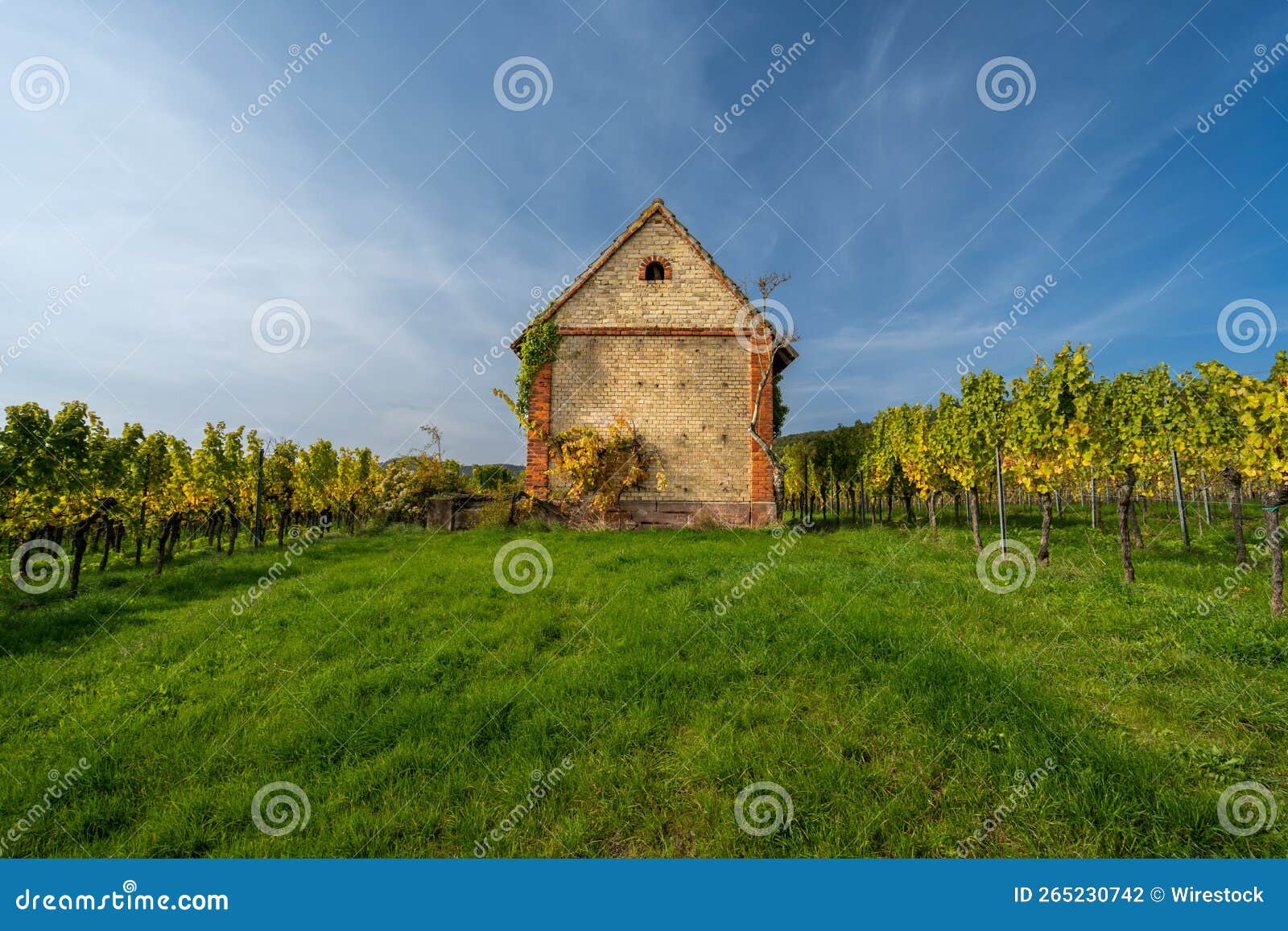 Watchtower in a Vineyard Plantation Below the Blue Sky Stock Photo ...