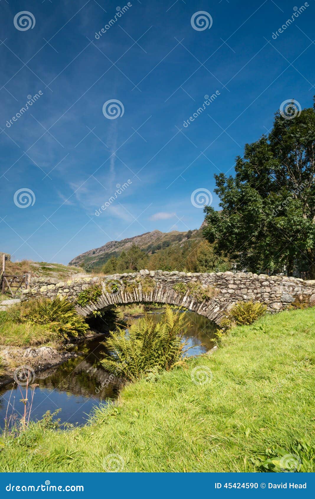 Watendlath Stone Footbridge Vertical Stock Photo - Image of rural ...