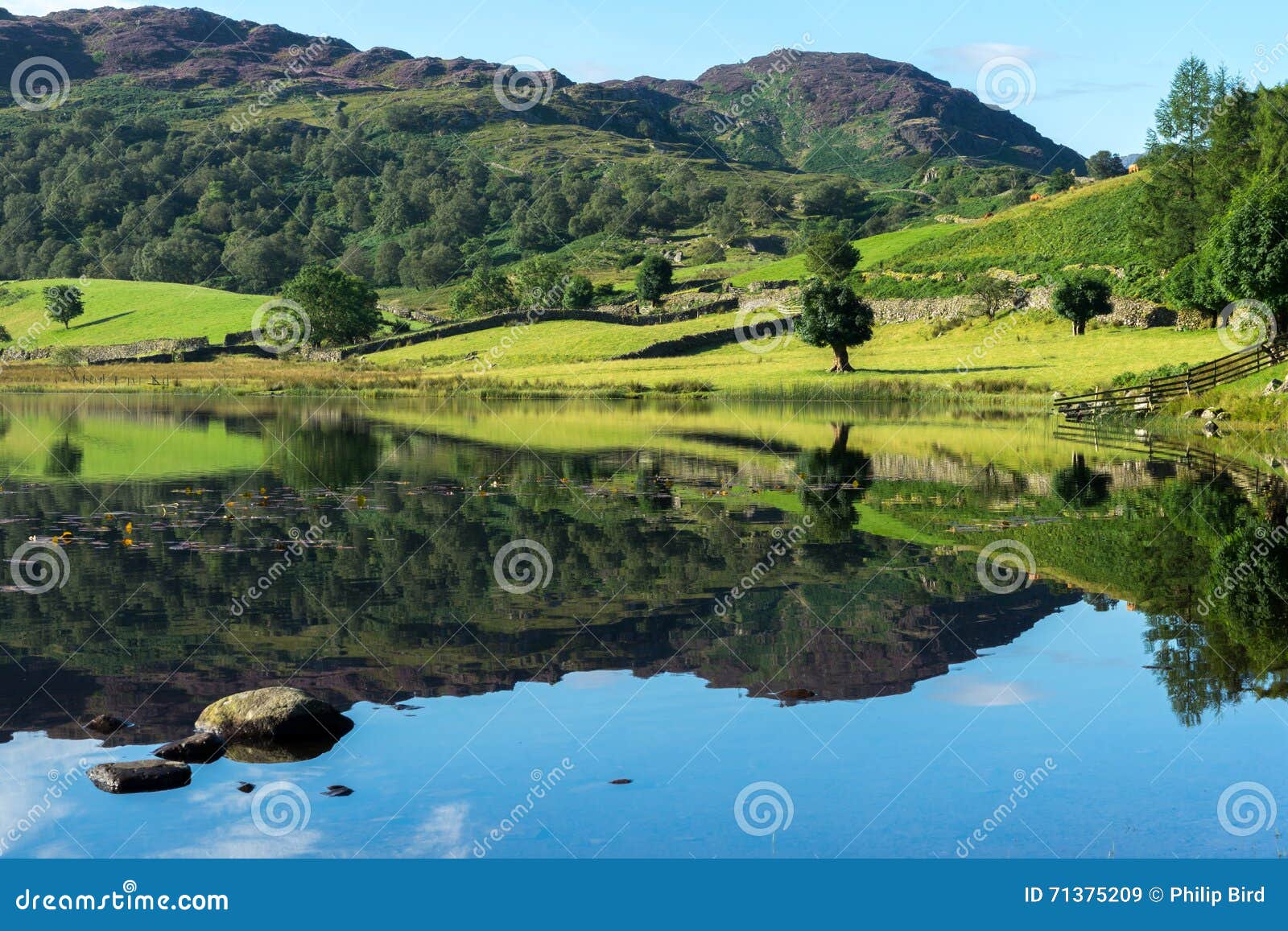 Watendlath Tarn stock image. Image of summer, nature - 71375209