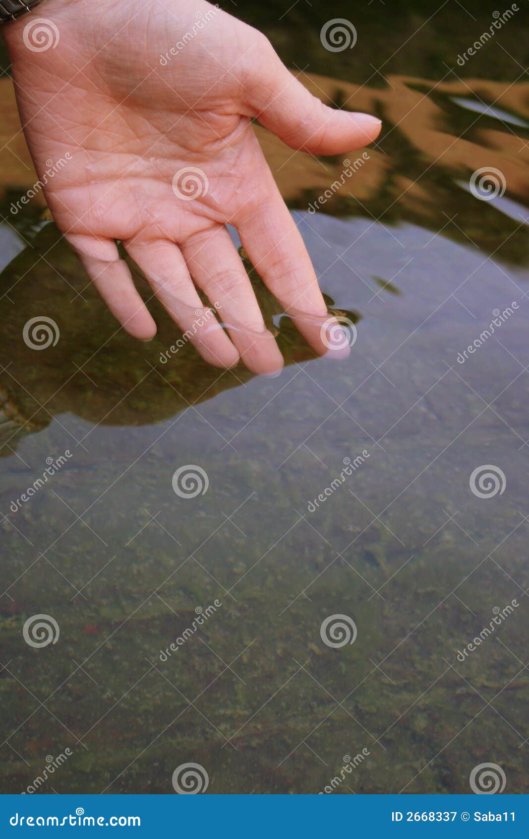 Water stock image. Image of natural, pond, hand, touches - 2668337