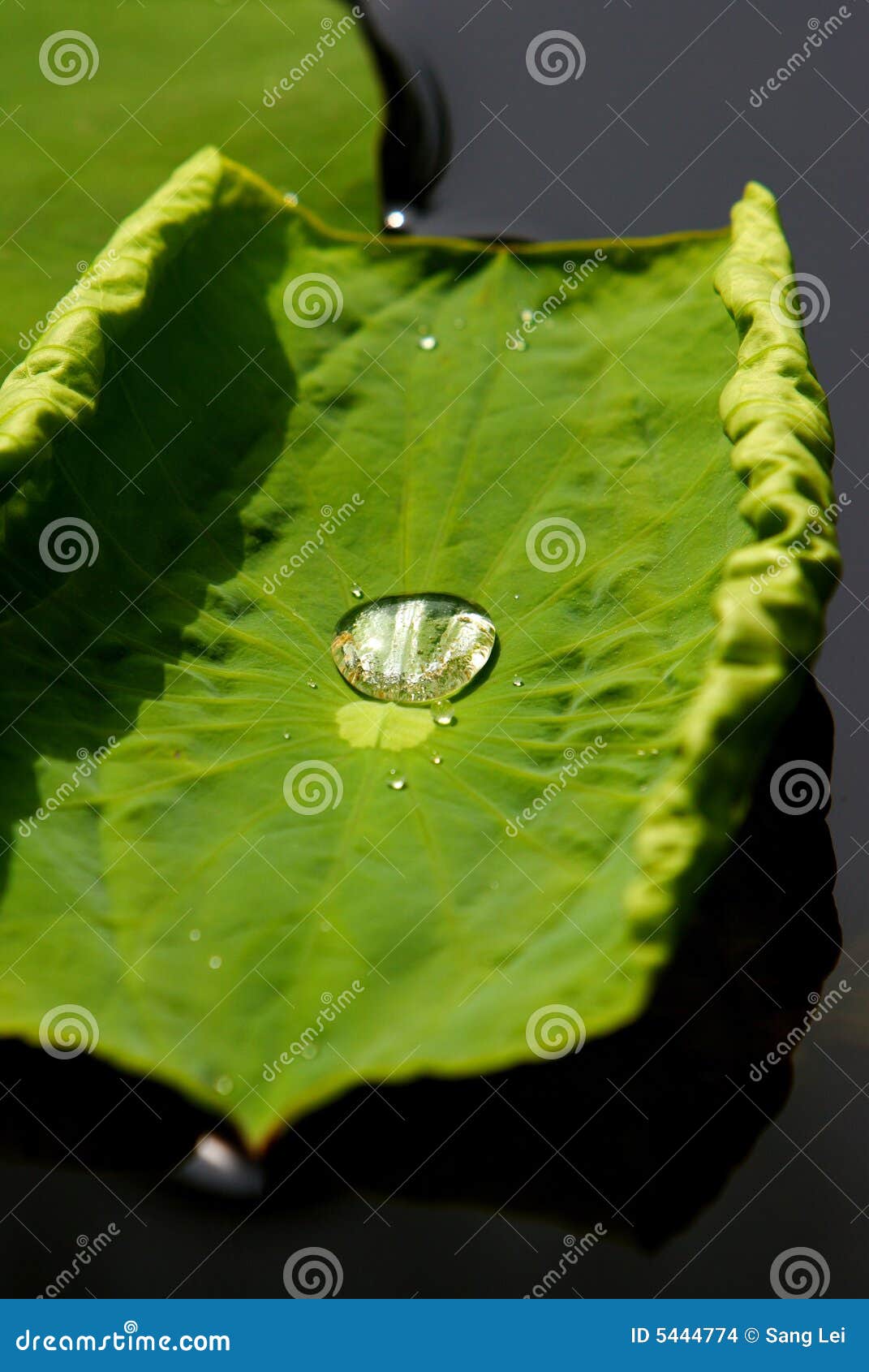 Water stock photo. Image of afternoon, beautiful, lakes - 5444774