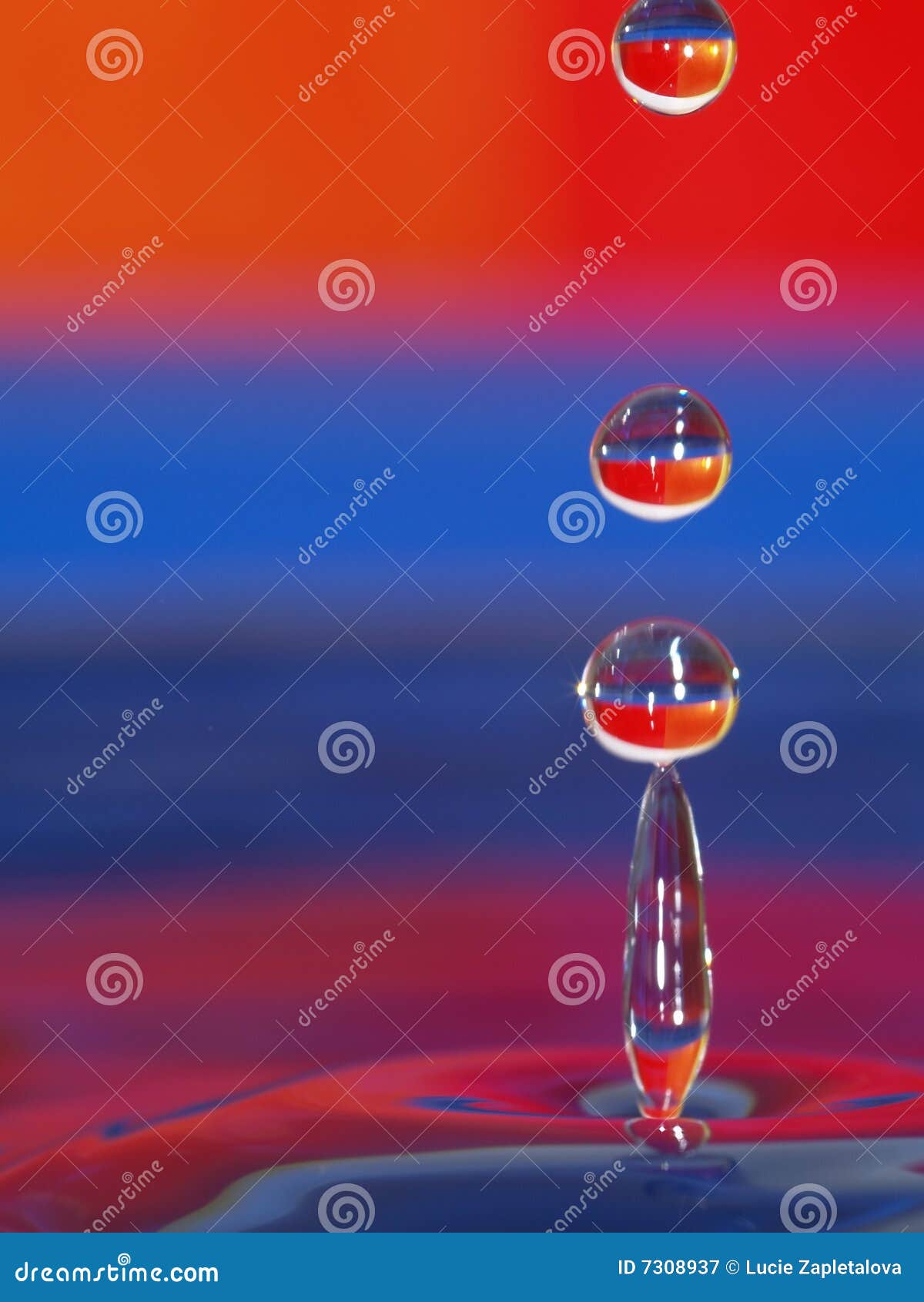 Red and blue water drops stock image. Image of natural - 7308937