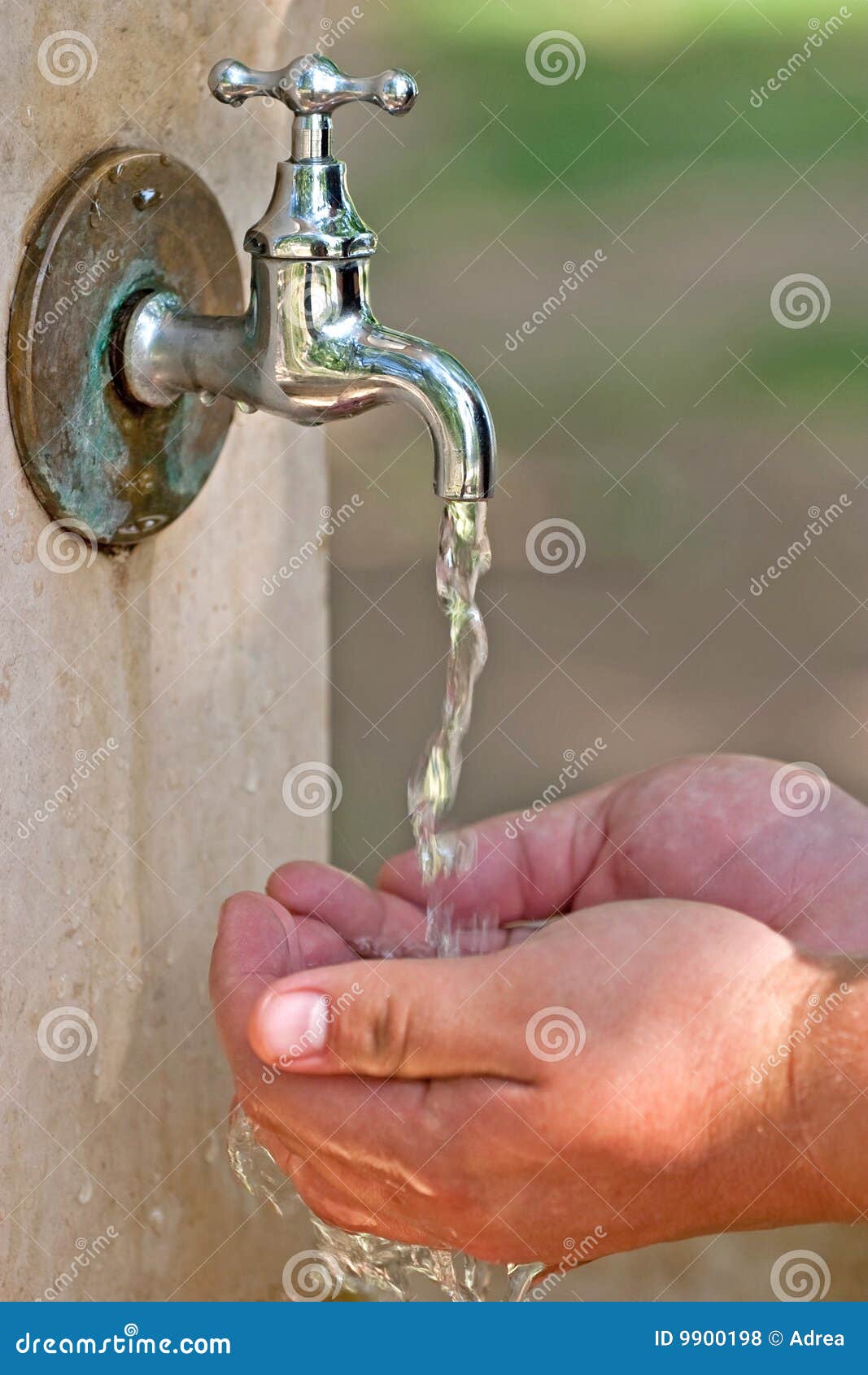Men Hands Getting Water To Drink Stock Photo - Image of park, drink ...