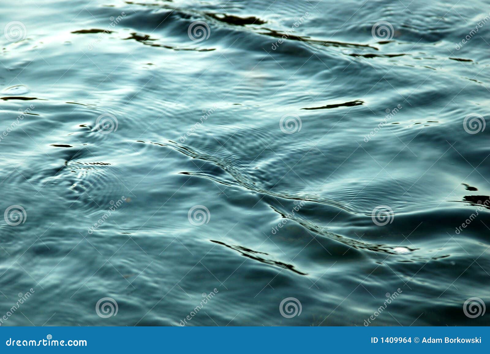 Water Shockwave Stock Photos - Free & Royalty-Free Stock Photos from ...