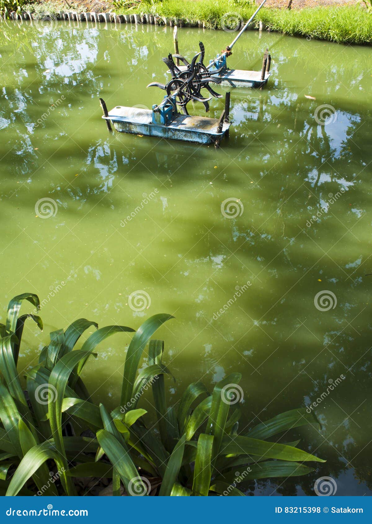 Water aeration stock photo. Image of clean, environment - 83215398