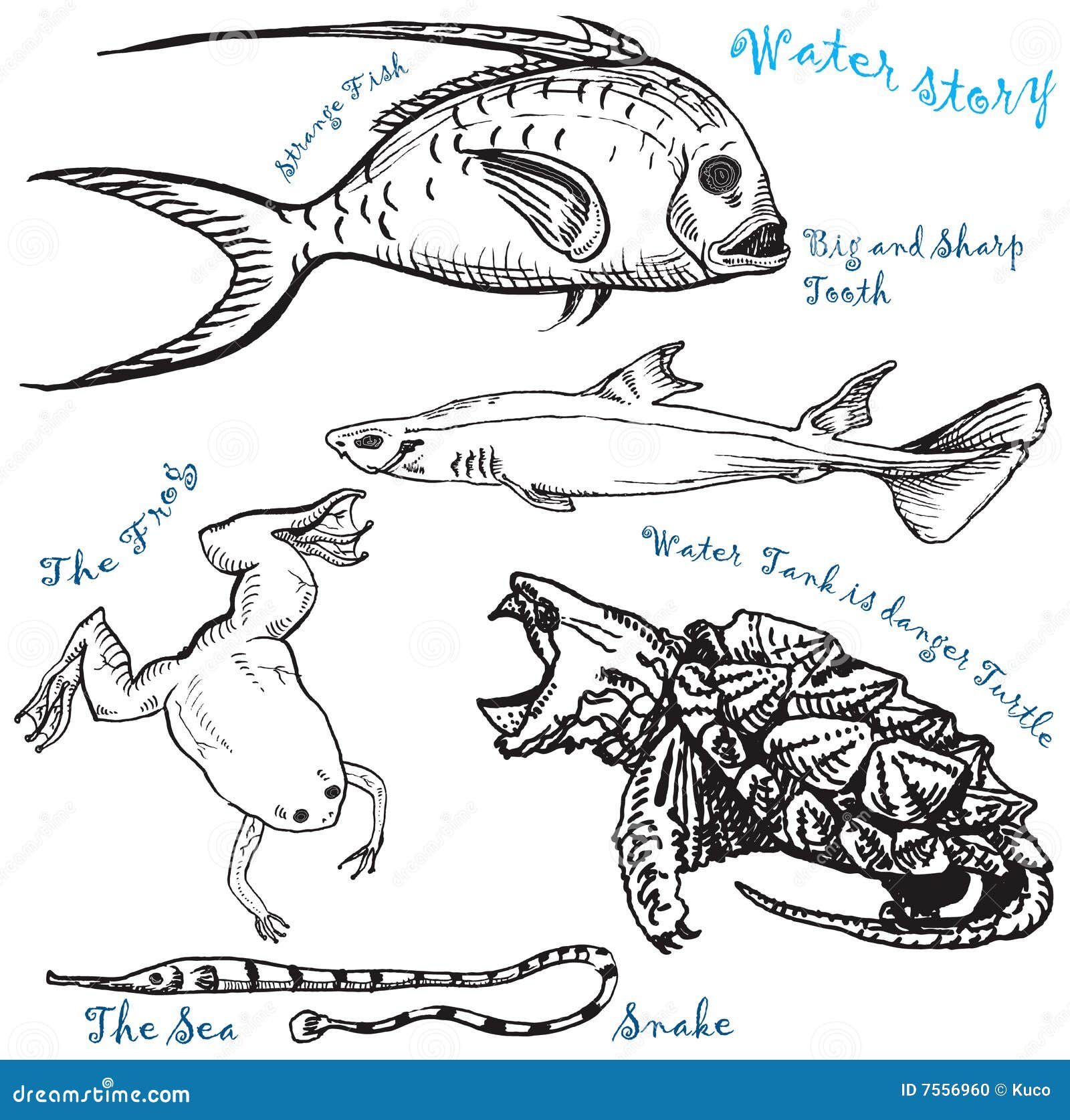 Water animals collection 1 stock vector. Illustration of artistic - 7556960