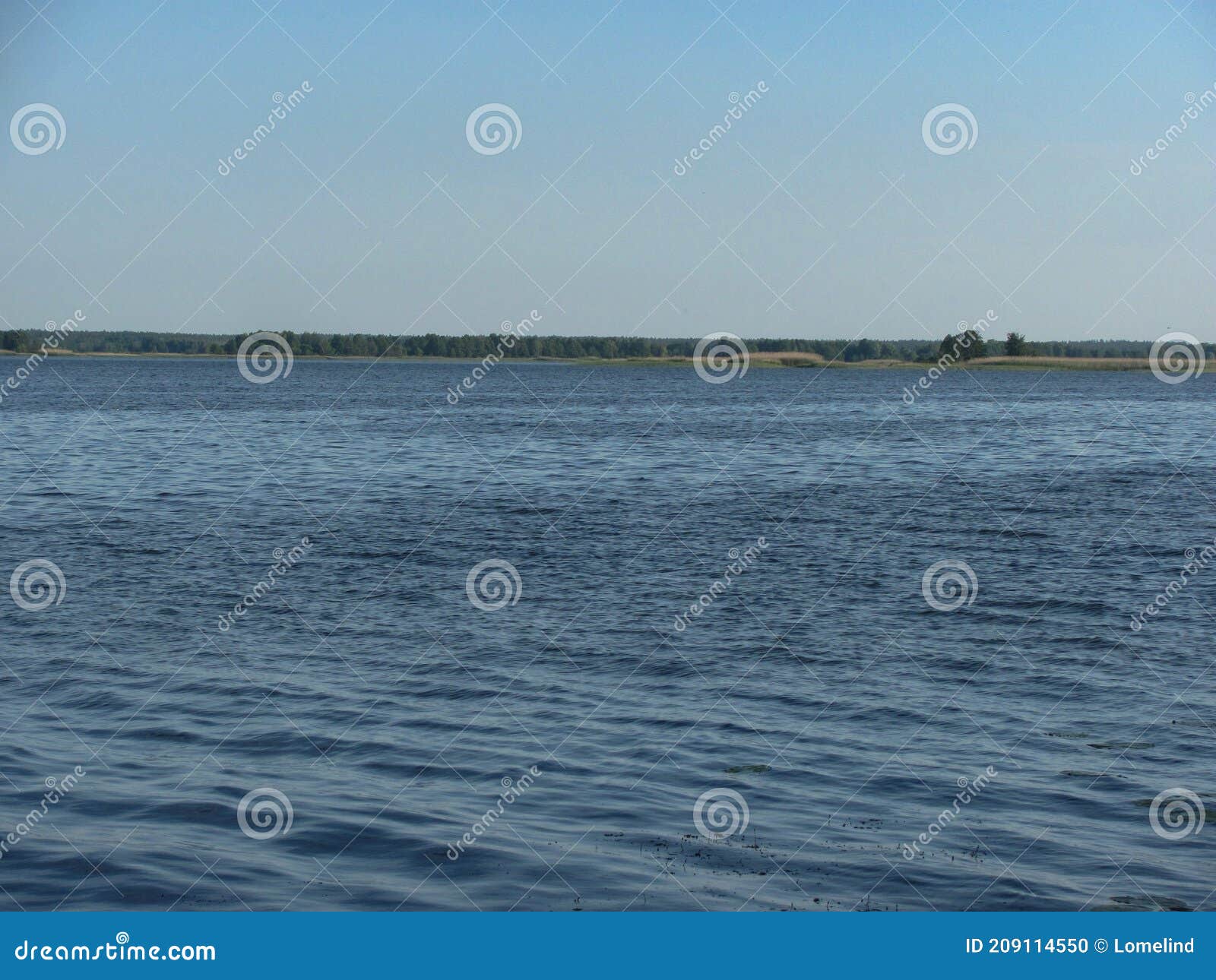 Water Area with Ripples and Forest on the Horizon Stock Photo - Image ...