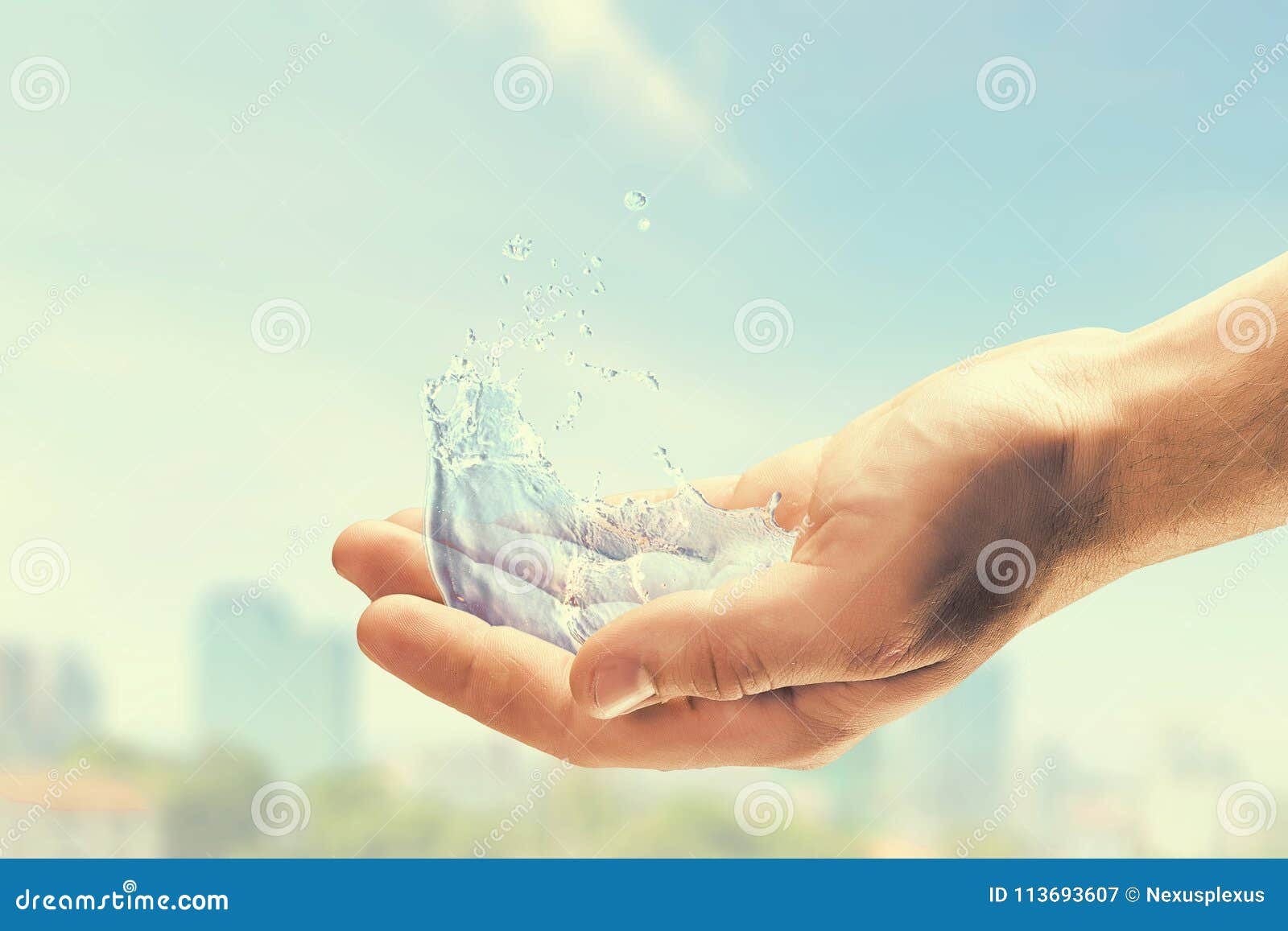 Water as life source stock image. Image of clean, conservation - 113693607