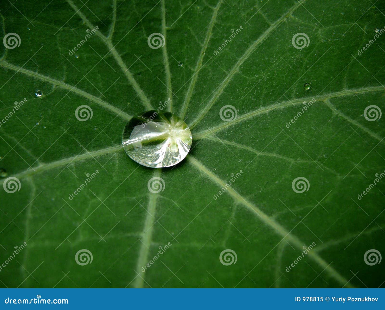 Water as a source of life stock image. Image of drinking - 978815