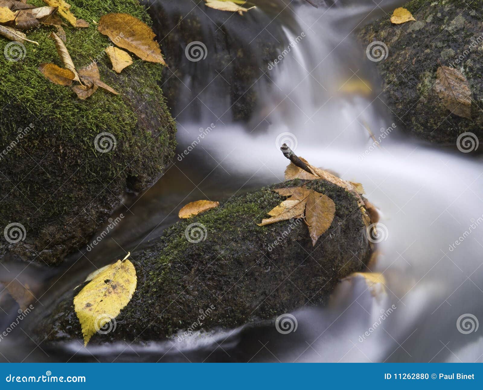 Water Autumn Flow with Leafs Stock Photo - Image of forest, blur: 11262880