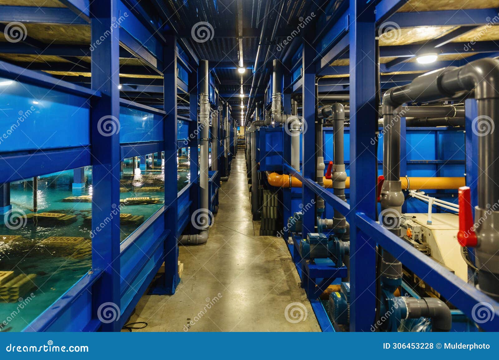 Water Basins with Automatic Feeding and Water Recirculation for Growing ...