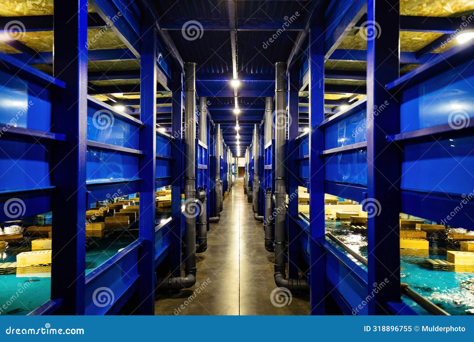 Water Basins with Automatic Feeding and Water Recirculation for Growing ...