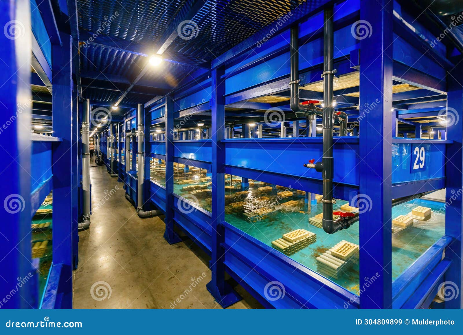 Water Basins with Automatic Feeding and Water Recirculation for Growing ...