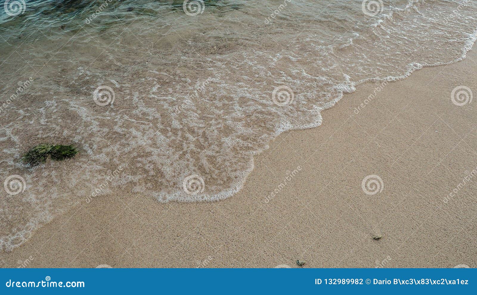 Water from the beach stock photo. Image of leaves, ashy - 132989982
