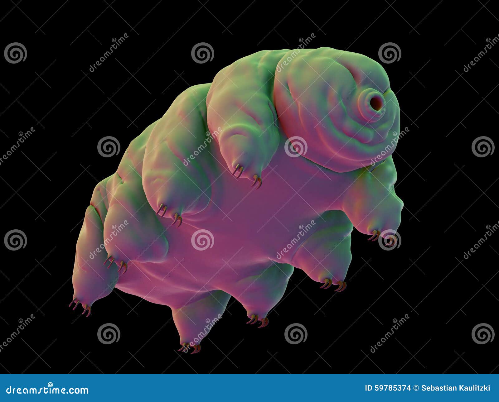 Tardigrade Cartoons, Illustrations & Vector Stock Images - 366 Pictures ...
