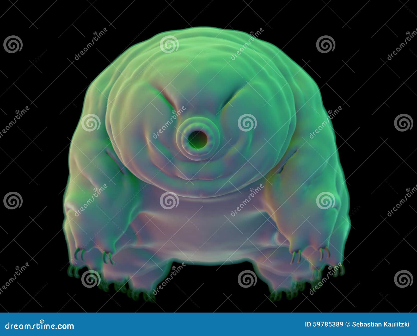 A water bear stock illustration. Illustration of bear - 59785389