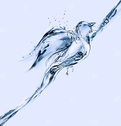 Water Bird Floating Up stock image. Image of calm, tranquil - 25323587