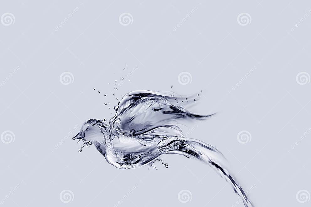 Water Bird Flying stock photo. Image of tail, flutter - 13778926