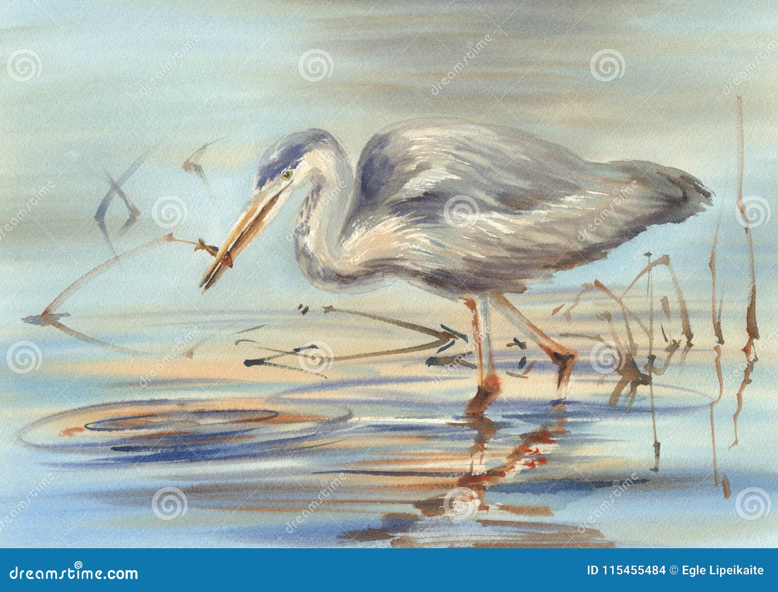 Water Bird Silhouette And Bamboo On Sunset, Vector. Minimalist Art ...