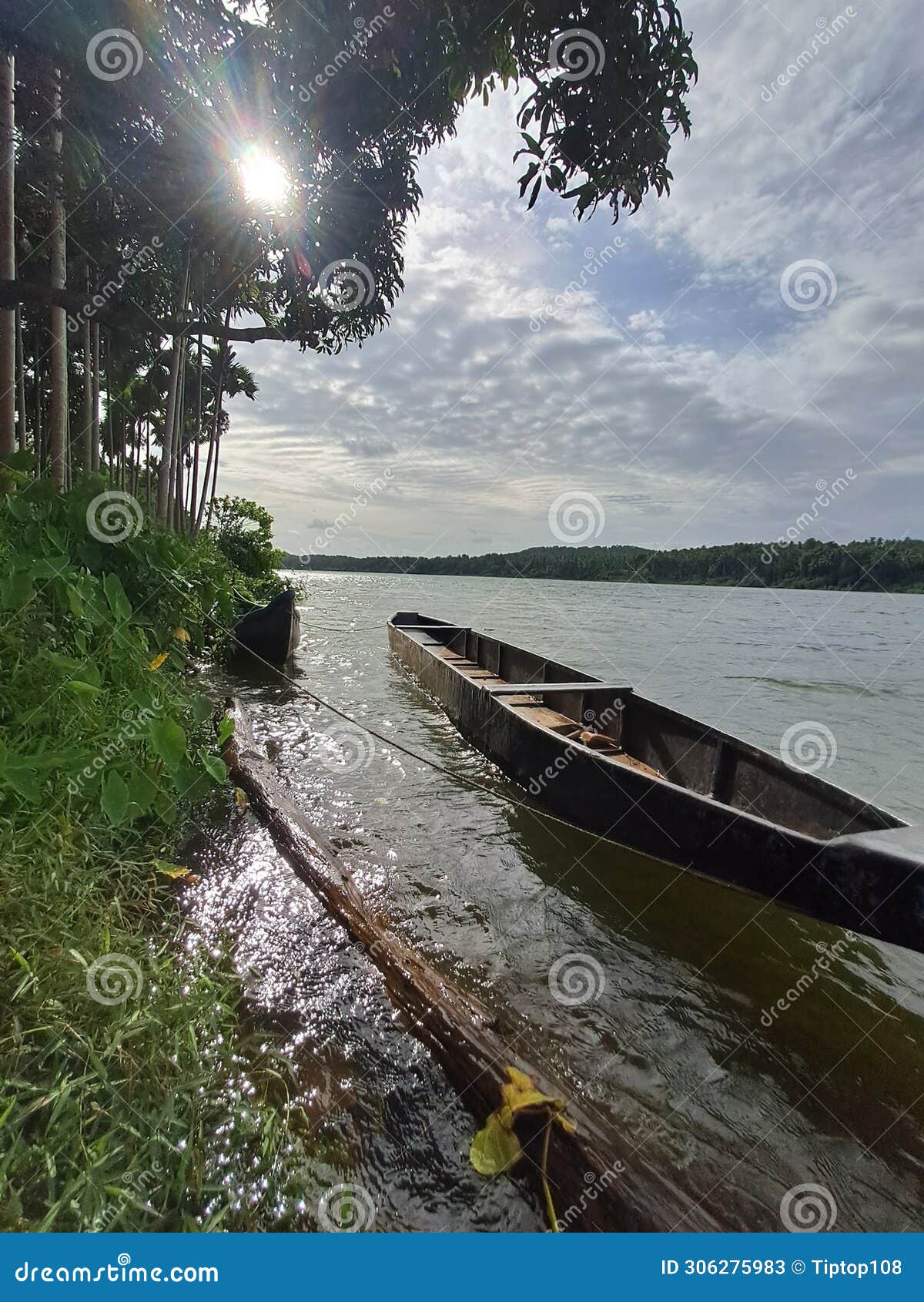 Water Boat River Sky Sun through the Tree Stock Image - Image of boat ...